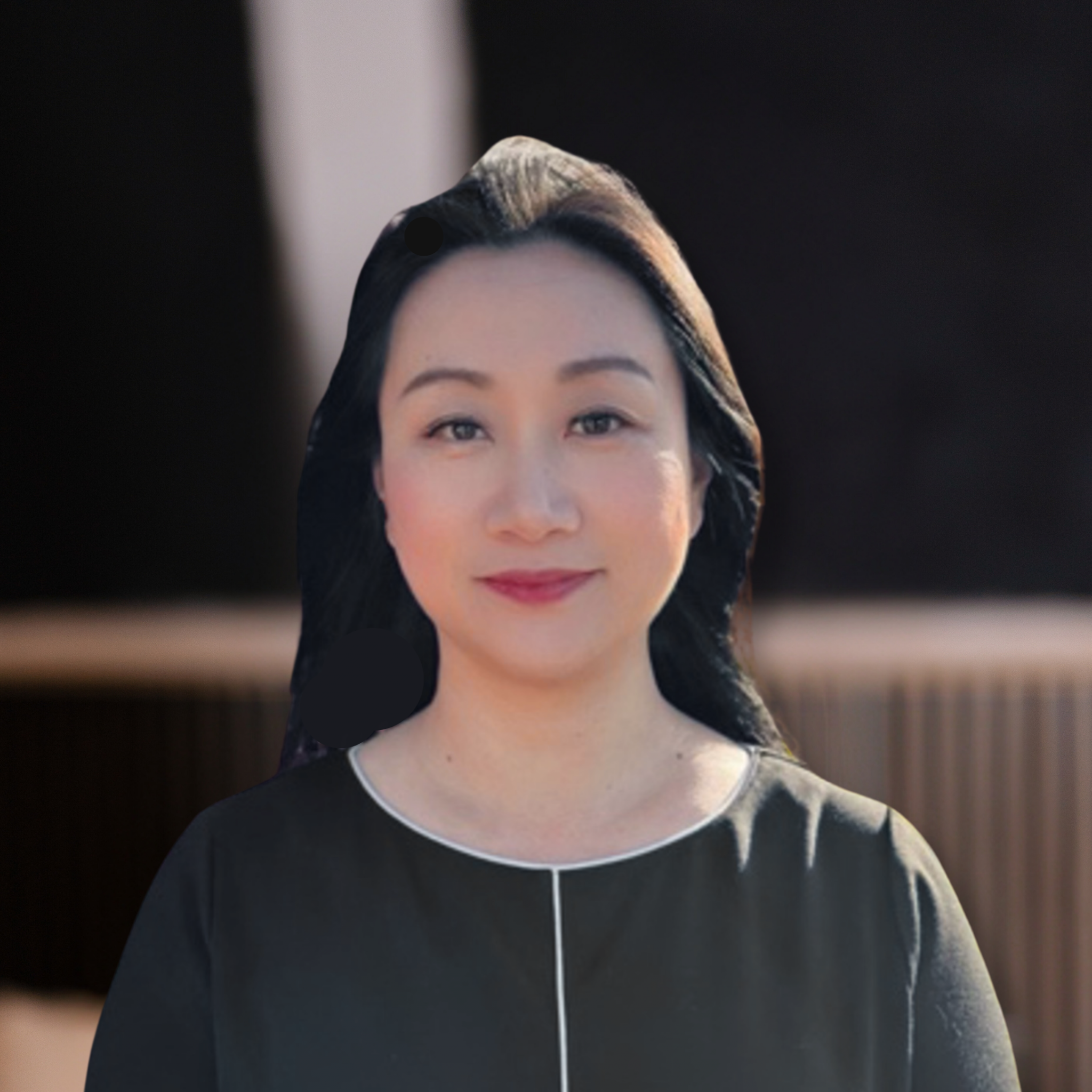 Lisa Qin – Business Analyst - American Vision Group